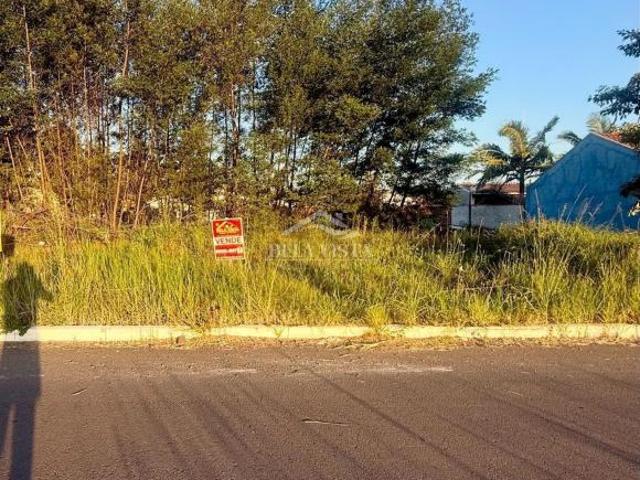Terreno com vocação Comercial