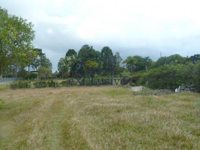 TERRENO COM ZONEAMENTO: ZESI