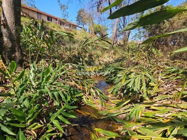 Terreno com água corrente e casa a venda em Rio Manso MG