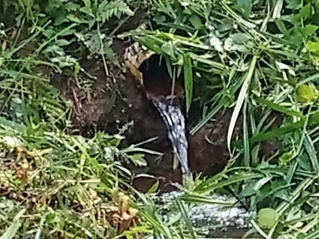 TERRENO COM ÁGUA / JUQUITIBA 80 MIL