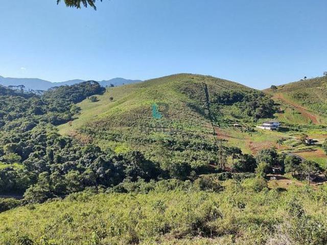TERRENO COM ALTITUDE DE 1.500 MTS EM SAPUCAI MIRIM MG