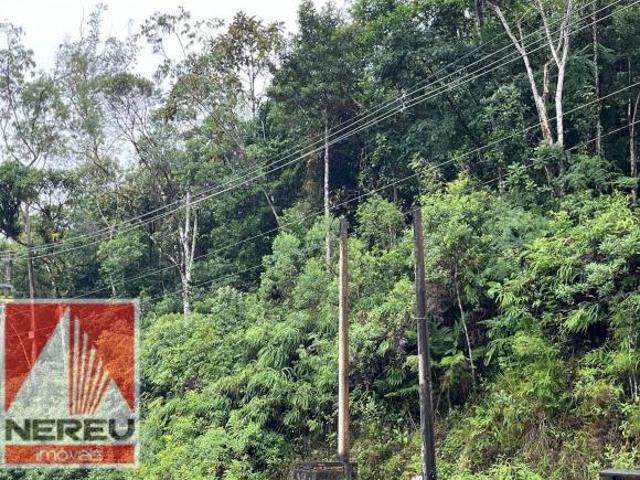 TERRENO COM ÁREA DE PRESERVAÇÃO PERMANENTE EM JUQUITIBA/SP
