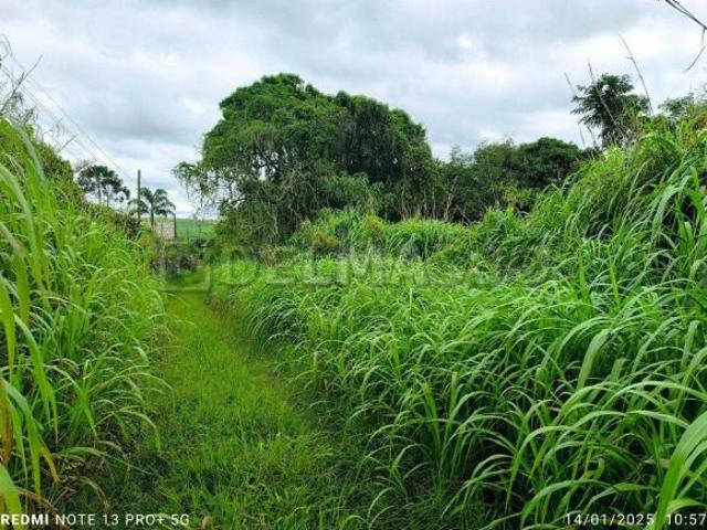 Terreno com área verde antes do centro!