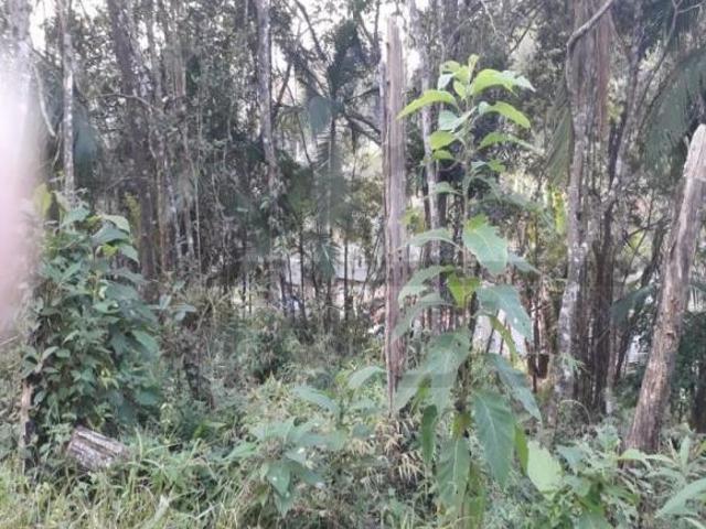 Terreno com boa topografia e localização à 800 metros do centro de Juquitiba /SP