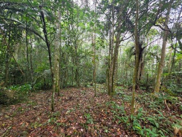 Terreno com boa topografia em Juquitiba