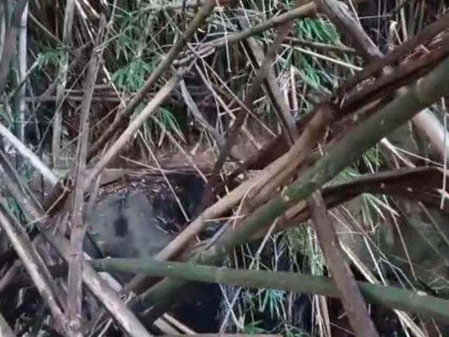 Terreno com cachoeira ao fundo em Moeda
