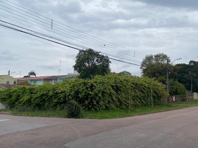 Terreno com casa no Portão ótima oportunidade