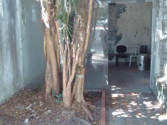 TERRENO COM CASA ANTIGA PRÓXIMO AO PARQUE VILLA LOBOS