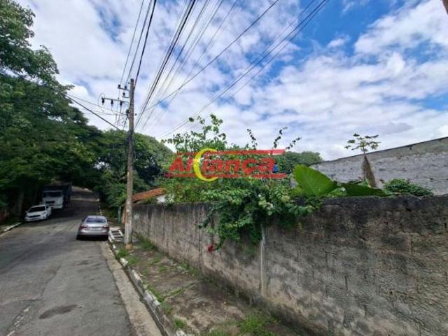 Terreno com Casa térrea, 470 metros Vila Galvão / Guarulhos