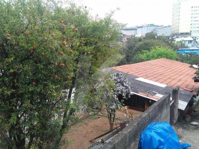 Terreno com Casa Velha