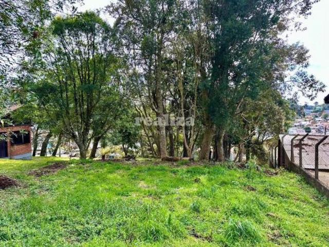 TERRENO COM DUAS FRENTES