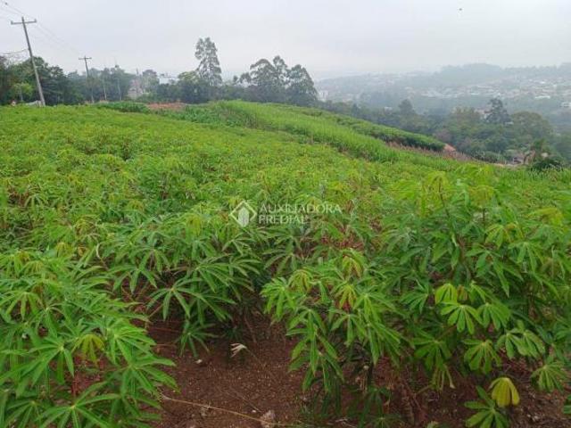 Terreno com duas frentes e linda vista panorâmica