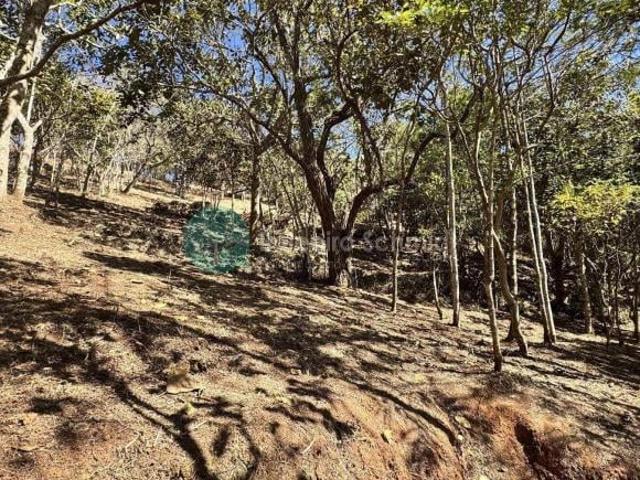 Terreno com escritura 1100m2