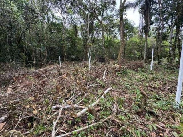 Terreno com escritura em Itanhaém R$ 28.000,00