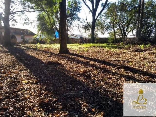 Terreno com estudos! 4358m² no Sítio Cercado, Curitiba!