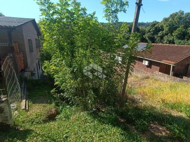 ? Terreno com excelente potencial no Belém Velho Vila Nova