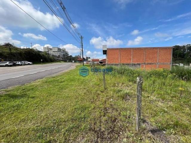 Terreno com frente para BR 116, para locação