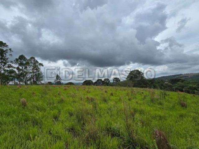 Terreno com frente para rodovia!
