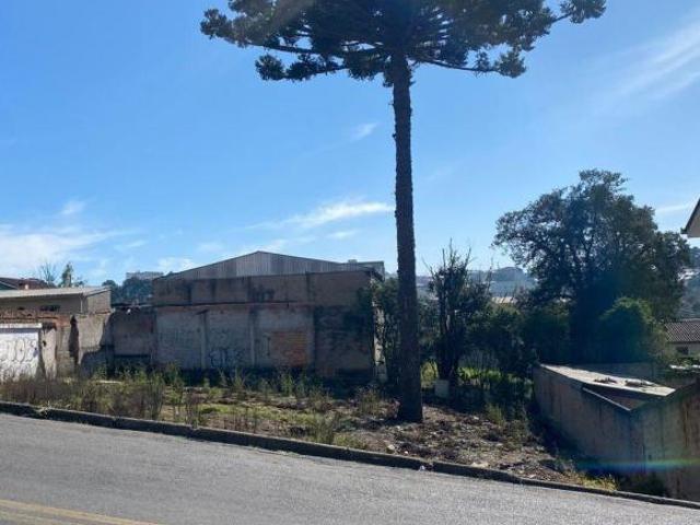 Terreno com grande potencial para construção
