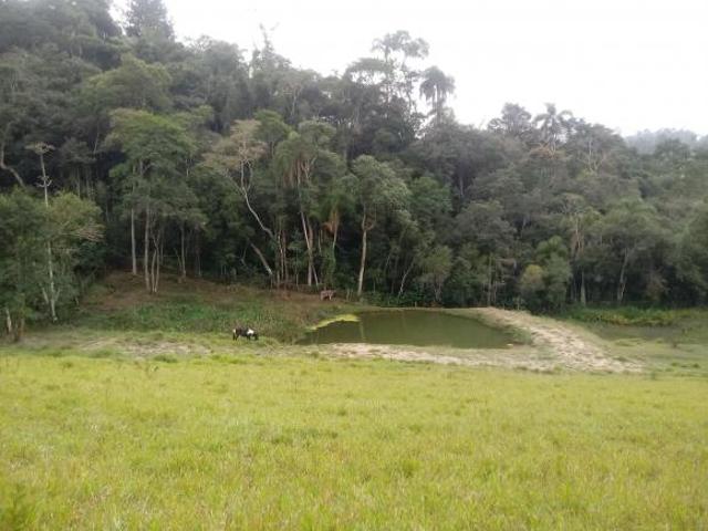 Terreno com Lago 2000m2