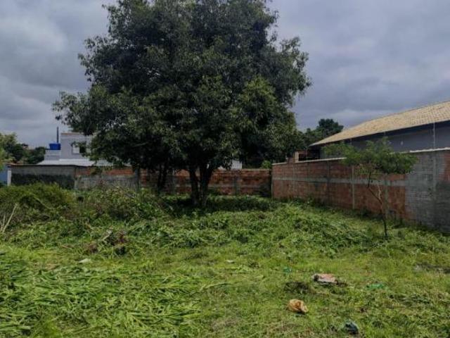 Terreno com liberação ambiental e escritura em Itanhaém