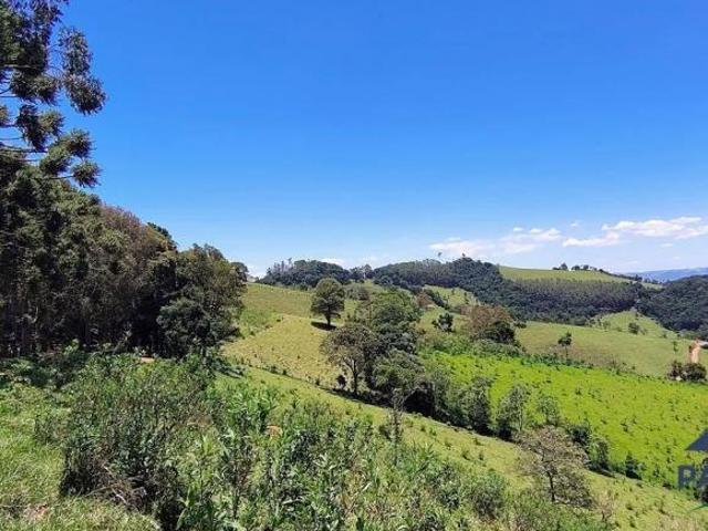 Terreno com Nascente e Vista Panorâmica na Serra da Mantiqueira!