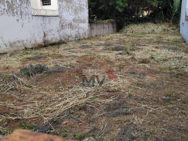 terreno com oportunidade