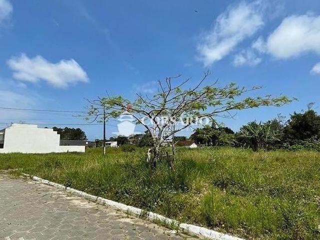 Terreno com oportunidade no Atami Norte TE0272