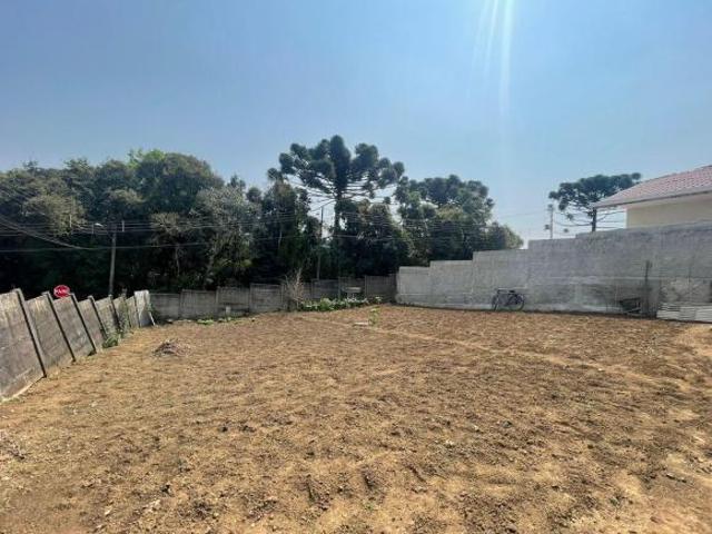 Terreno com ótima topografia e 300 m² no bairro Pilarzinho