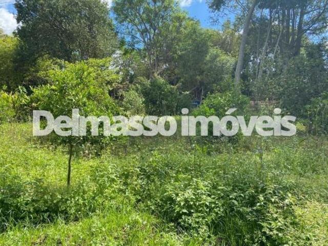 Terreno com ótima localização na beira da pista!