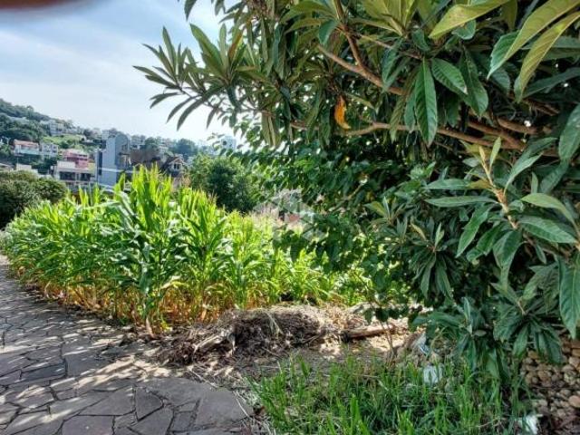 Terreno com ótima localização bairro progresso