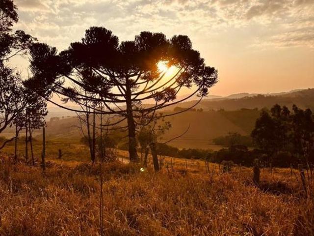 Terreno com pôr do sol maravilhoso
