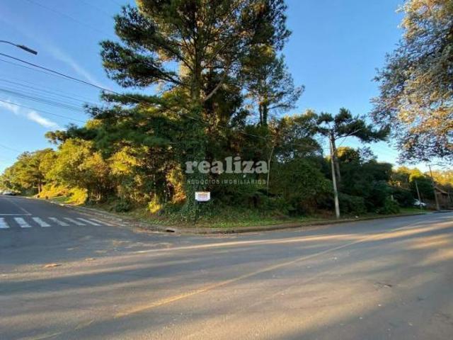 TERRENO COM POTENCIAL CONSTRUTIVO
