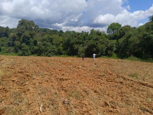 Terreno com Potencial de Valorização em Ibiúna
