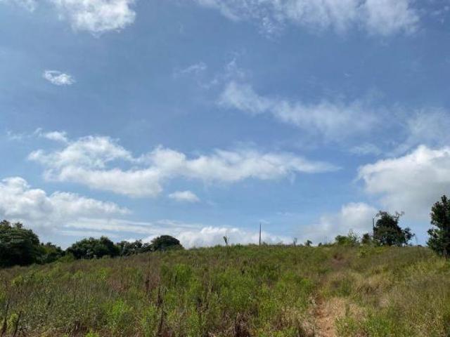 Terreno com Potencial de Valorização em Ibiúna