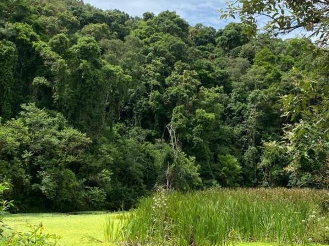 Terreno com Potencial de Valorização em Ibiúna