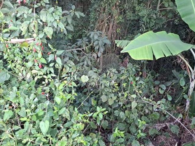 Condomínio à venda em Caraguatá SP