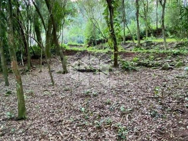 Terreno com projeto arquitetônico Ivoti