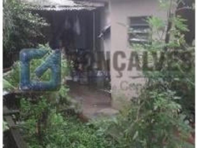 Terreno Comercial 480 m² em Nova Petrópolis, SBCamp – Venda R$1.000.000