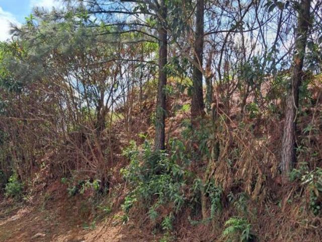 Terreno comercial