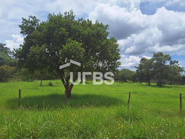 TERRENO COMERCIAL 2.500MT SETOR SITIOS RECREIO MASÕES DO CAMPOS