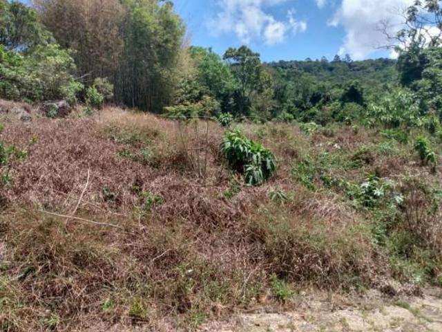 Terreno comercial
