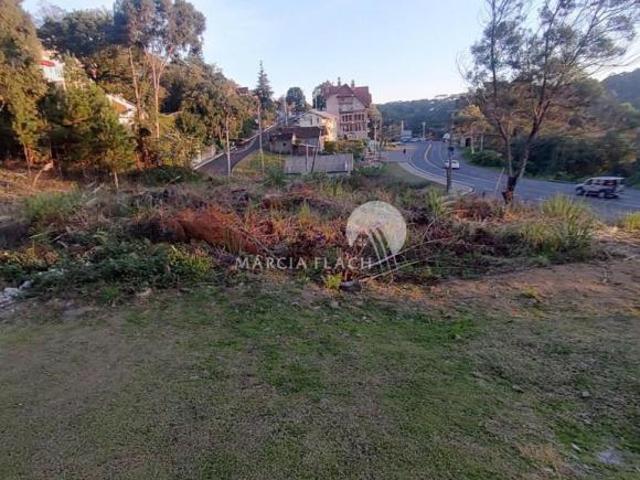 TERRENO COMERCIAL