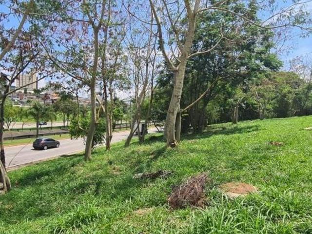 Terreno Comercial