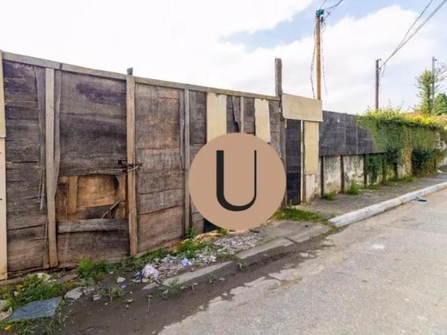 Terreno Comercial à venda, Vila Marieta, São Paulo TE0005
