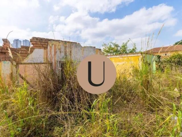 Terreno Comercial à venda, Vila Marieta, São Paulo TE0022