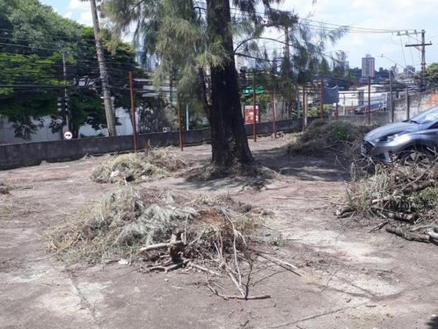 Terreno comercial à venda na Av Corifeu de Azevedo Marques, Butantã, São Paulo