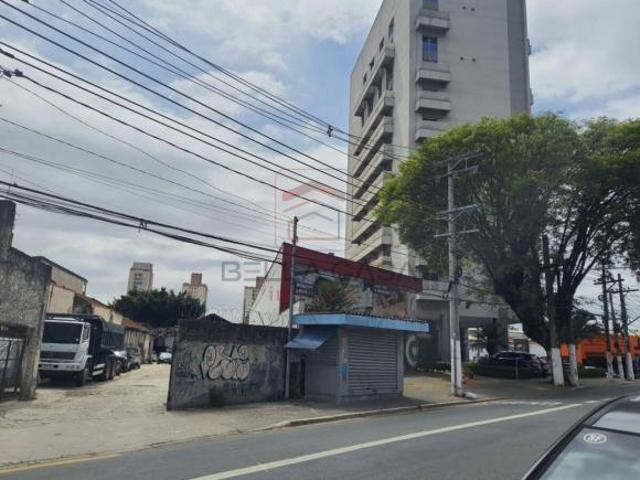 Terreno Comercial à Venda na Avenida Conselheiro Carrão ? 1.980 m²