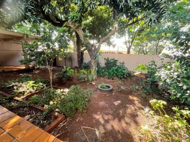 Terreno Comercial à Venda na Zona 06