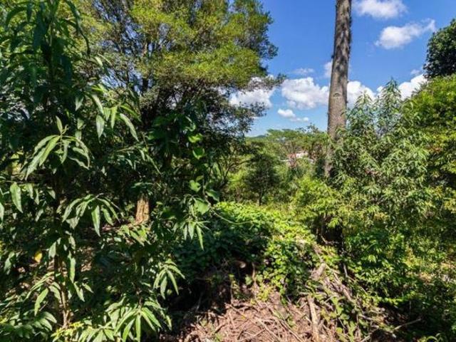 Terreno Comercial à venda no Jardim Professor Benoá em Santana de Parnaíba SP